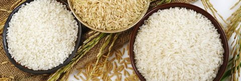 Rice Milling Process - Grain & Pulses Engineers